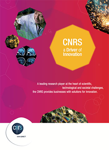 What is the CNRS ? | CNRS News
